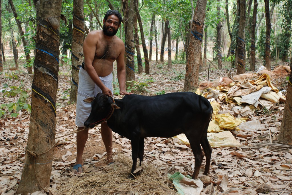 Rethinking livestock development – Livestock Futures