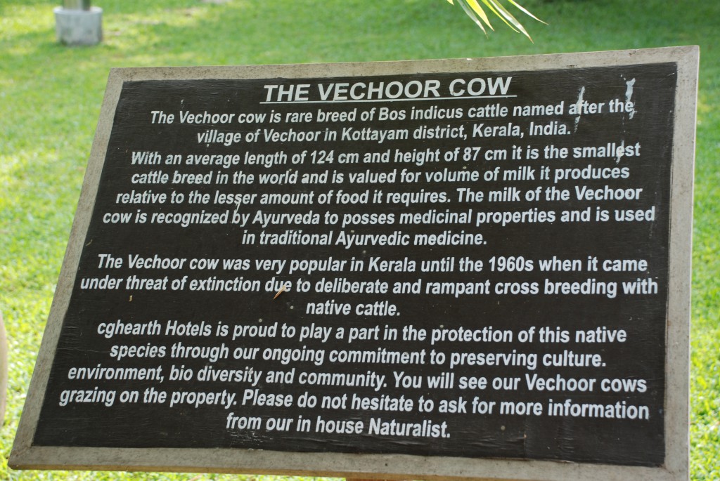 Rethinking livestock development – Livestock Futures