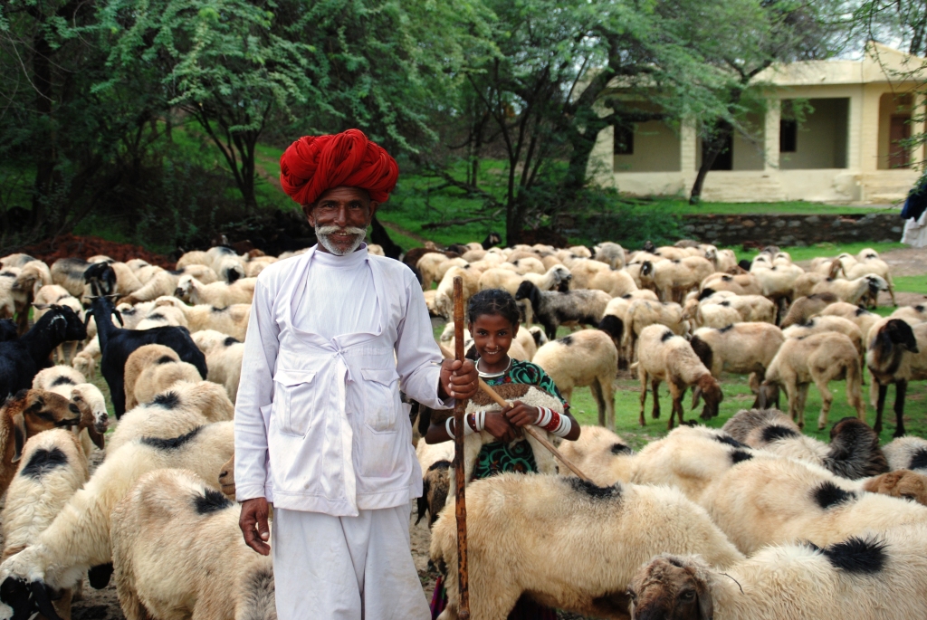 A bit more respect for livestock keepers, please! – Livestock Futures