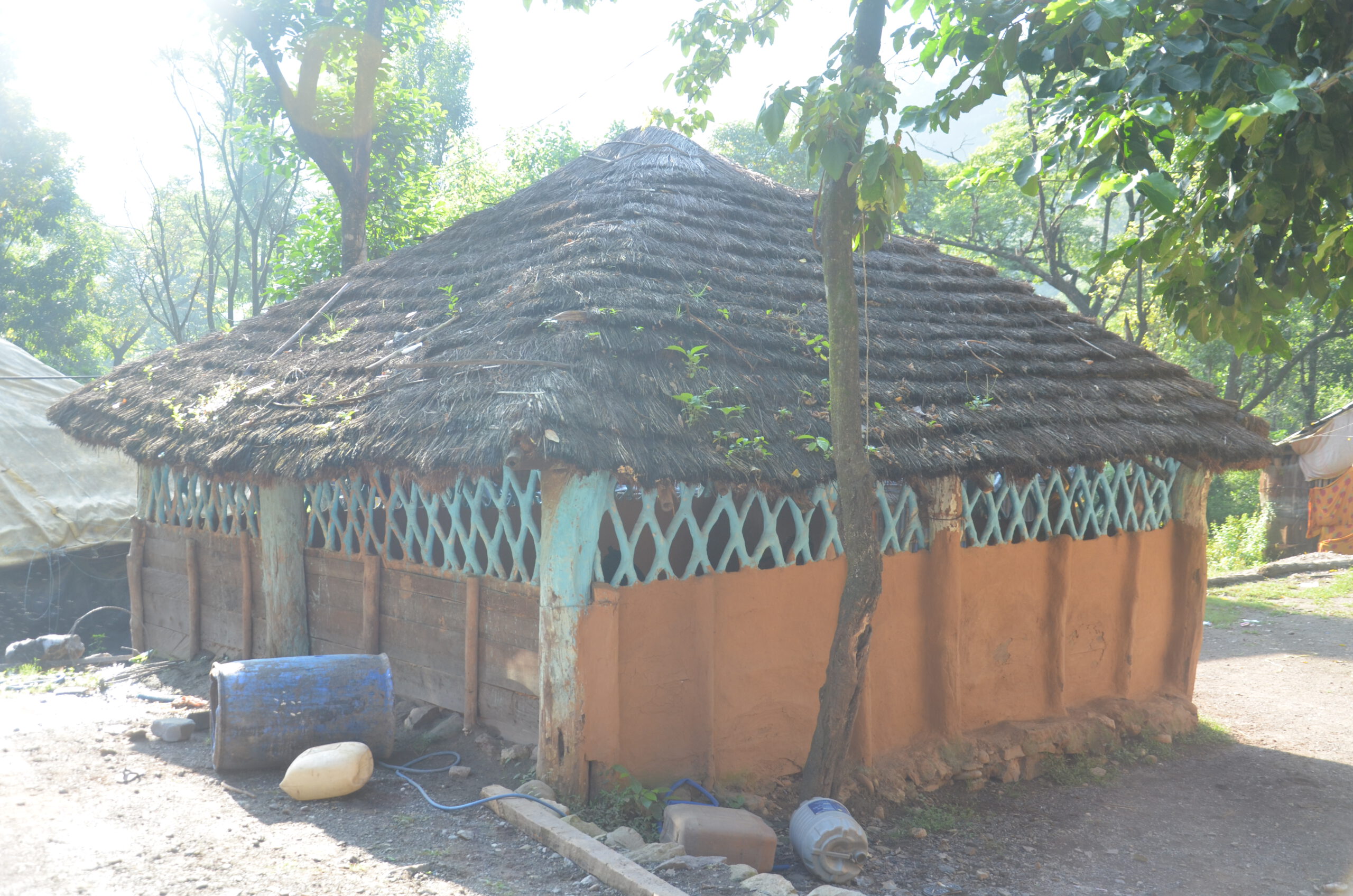 Will the UN Convention of Biological Diversity ever help the true ...