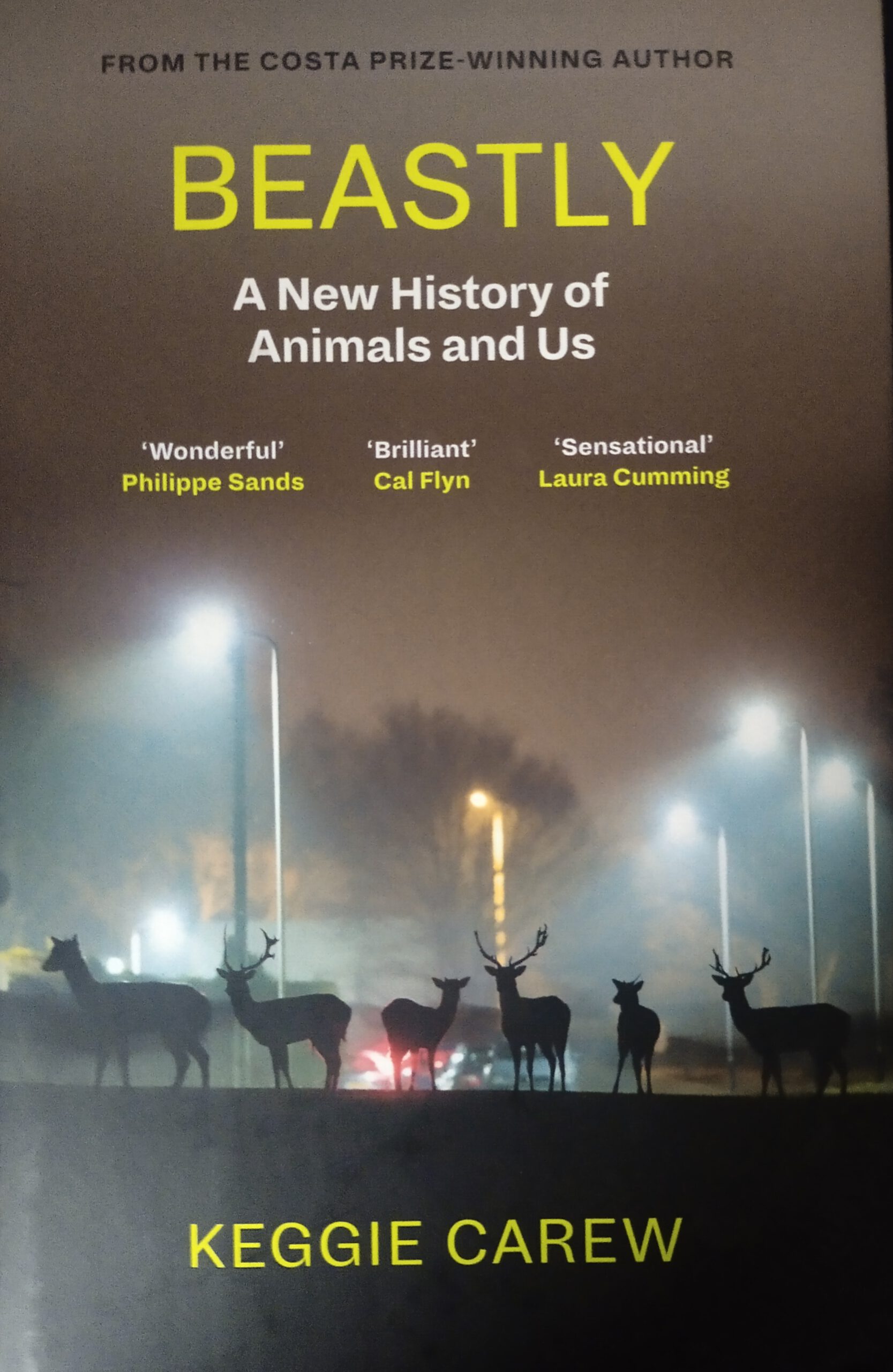 World Biodiversity Day and Pastoralists – Livestock Futures